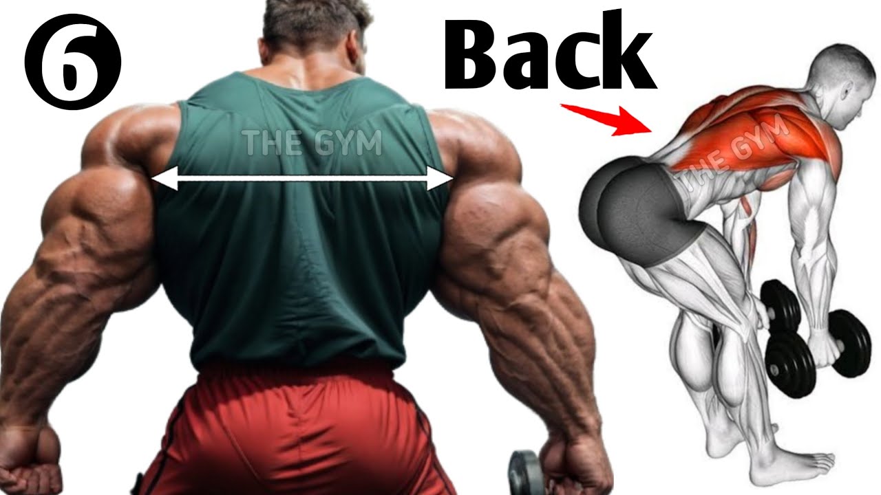 Bigger Back Workout ( 6 Effective Exercises ) - YouTube