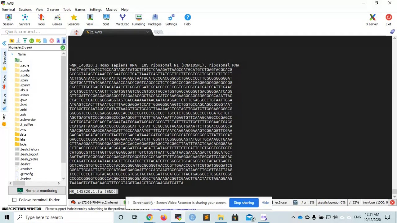 Bioinformatics 13: Multiple sequence alignment of 18S rRNA sequences ...