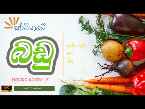 සර්බියාවේ වියදම් 🇷🇸🫑🌶️ |  living cost in Europe