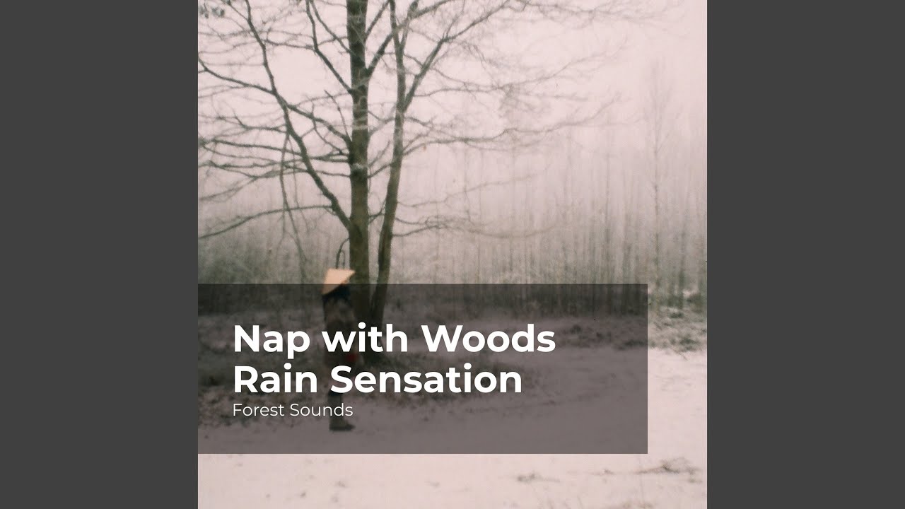 Rhythmic River Flow - YouTube Music