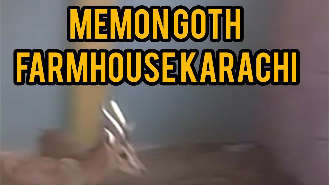 memon goth farmhouse karachi | cow videos #viral - YouTube