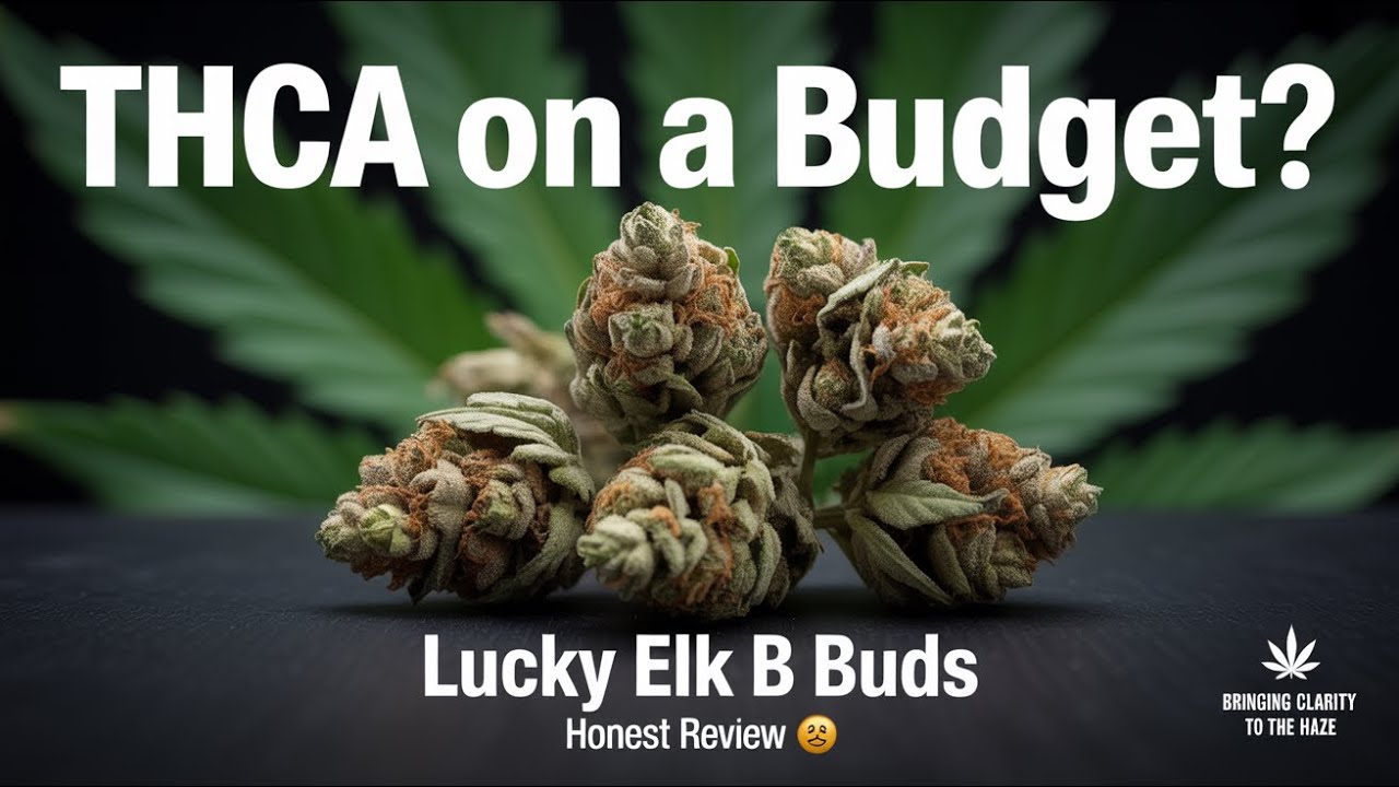 Best Budget THCA Flower Review: The Final Verdict You Cant Miss! - YouTube