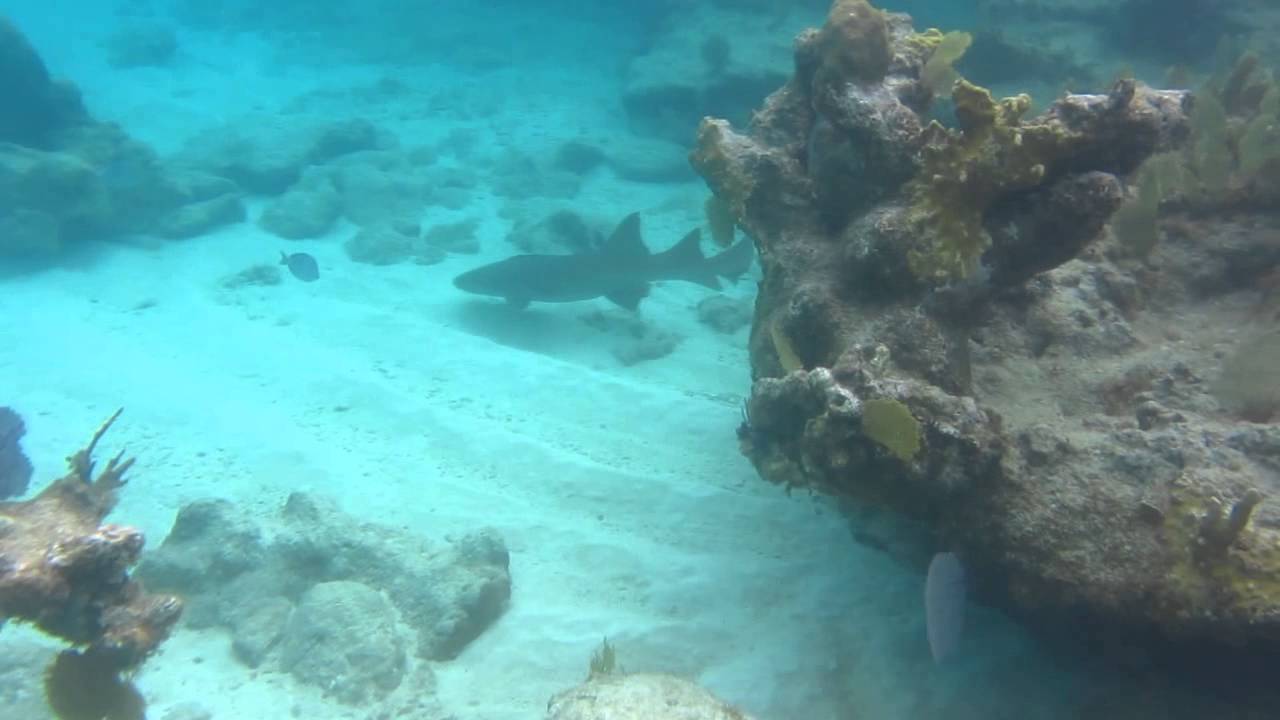 Mayaguana, Bahamas - YouTube