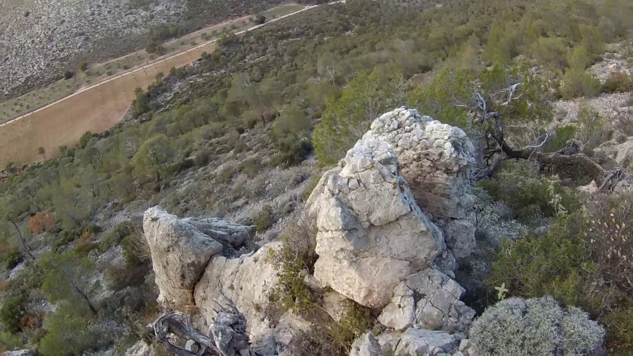 ΚΥΝΗΓΙ ΛΑΓΟΥ ΣΤΑΜΟΥΛΗΣ ΔΥΝΑΤΟ ΞΕΦΩΛΙΑΣΜΑ - YouTube