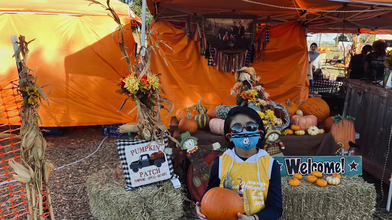 Pumpkin Patch 2020 @ Aubrey TX #Halloweenvlogs #pumpkinpatch - YouTube
