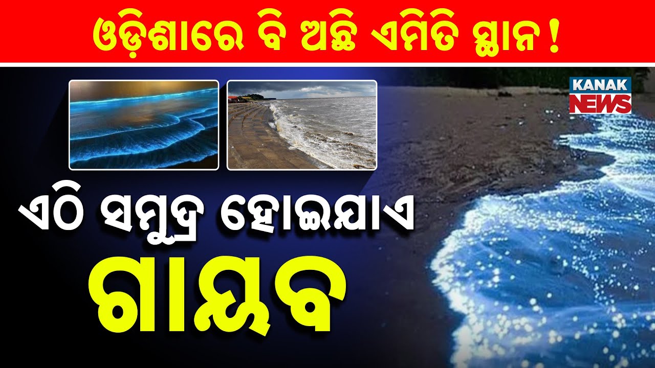 Special Report: Chandipur Beach Odisha: The Mystical Vanishing Sea ...