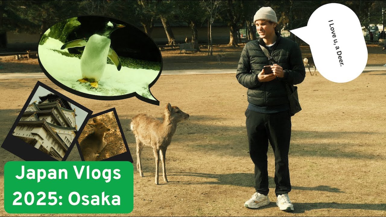 OSAKA: Feeding Deer and Visiting One of the BIGGEST Aquariums in the ...