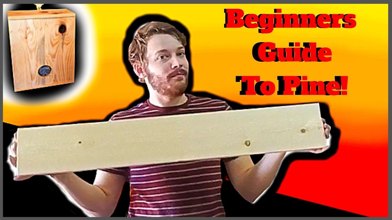 Beginners Guide To Wood Species - Everything You Need To Know About ...
