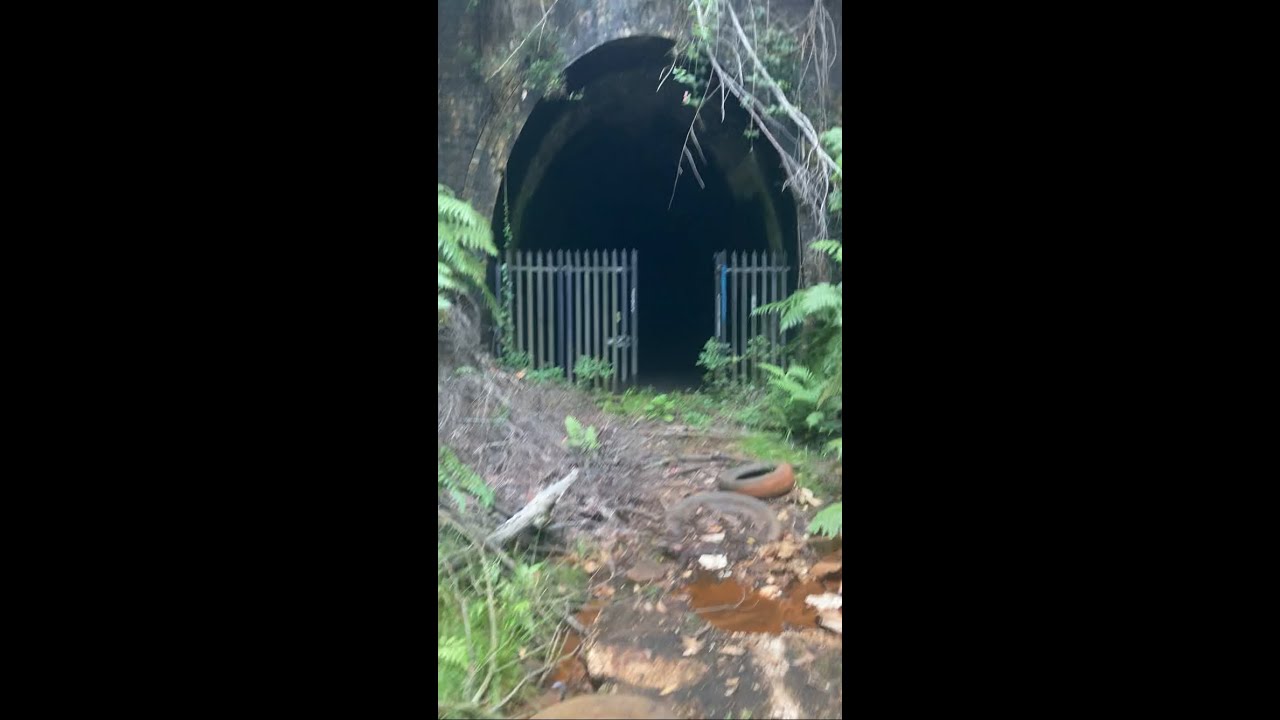 451 - Cawley Tunnel No .2, Mushroom Farm, Garrawarra State Conservation ...