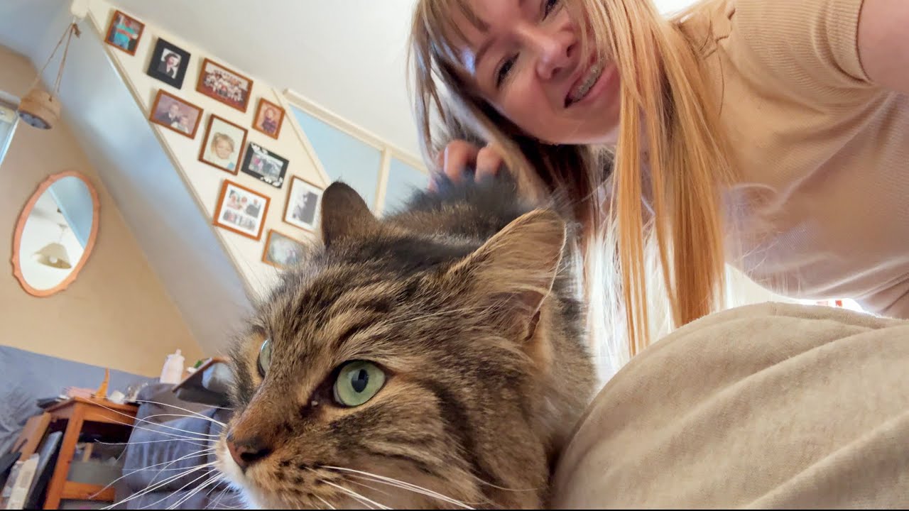 Neighbours Cat Thinks He’s Moving In! He Snuck Inside! - YouTube