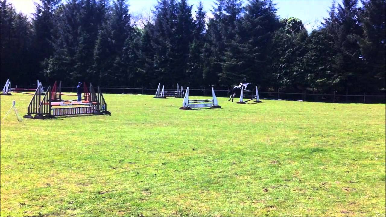 Combined training show jumping 80cm Loanhead Equestrian - YouTube