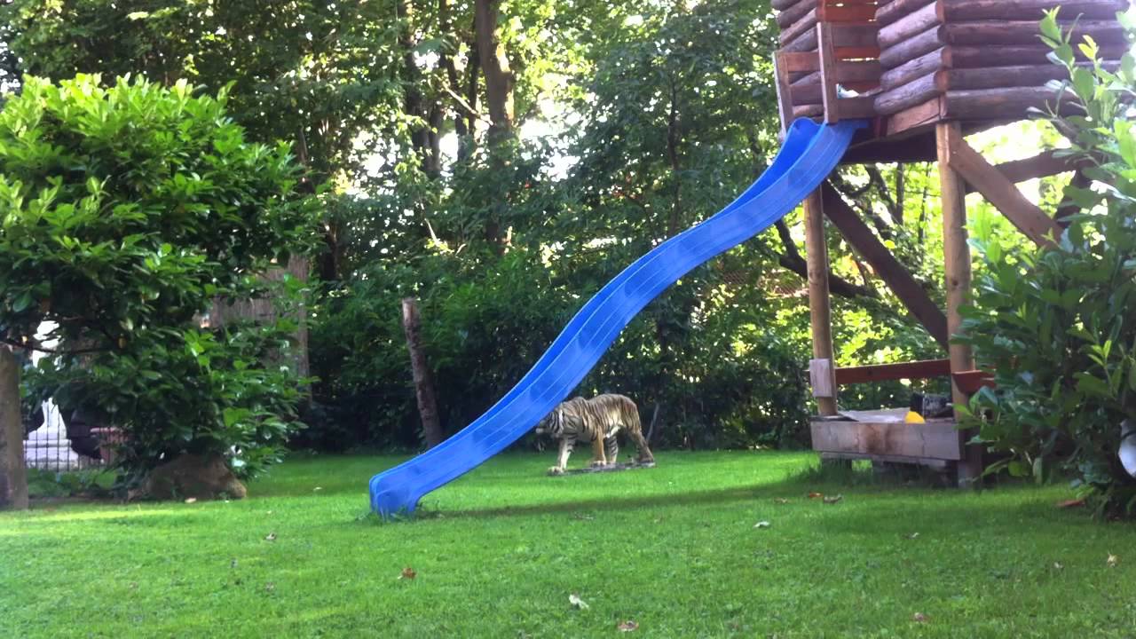 SUPERHUND FLIEGT RUTSCHE RUNTER - YouTube