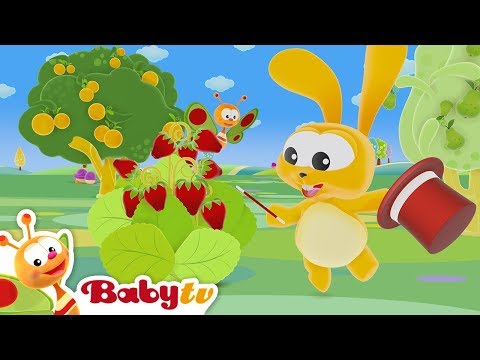 Neşeli Hayvanlar | BabyTV Türkçe