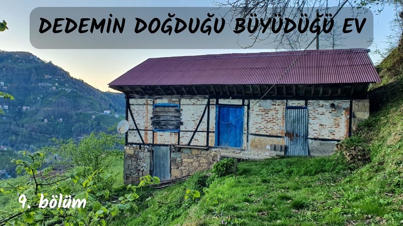 ÇAY VE FINDIK BAHÇESİ İÇİNDEKİ 100 YILLIK GELENEKSEL KARADENİZ EVİMİZ ...