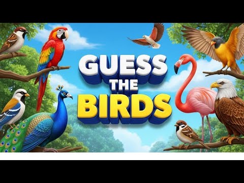 Birds Quiz for Kids 🐦 | Can You Guess the Bird? | Fun Learning Video ...