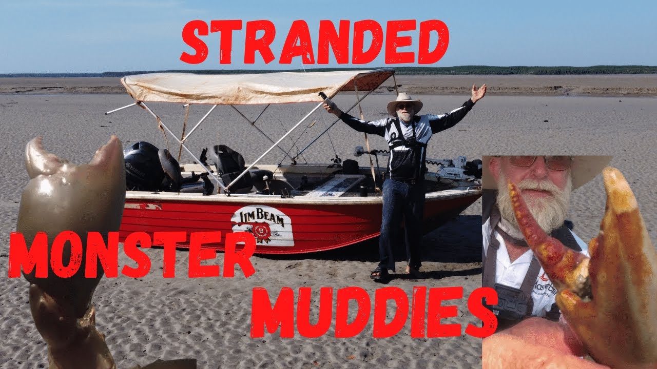STRANDED High & Dry & Monster #Muddies #Northern Territory - YouTube