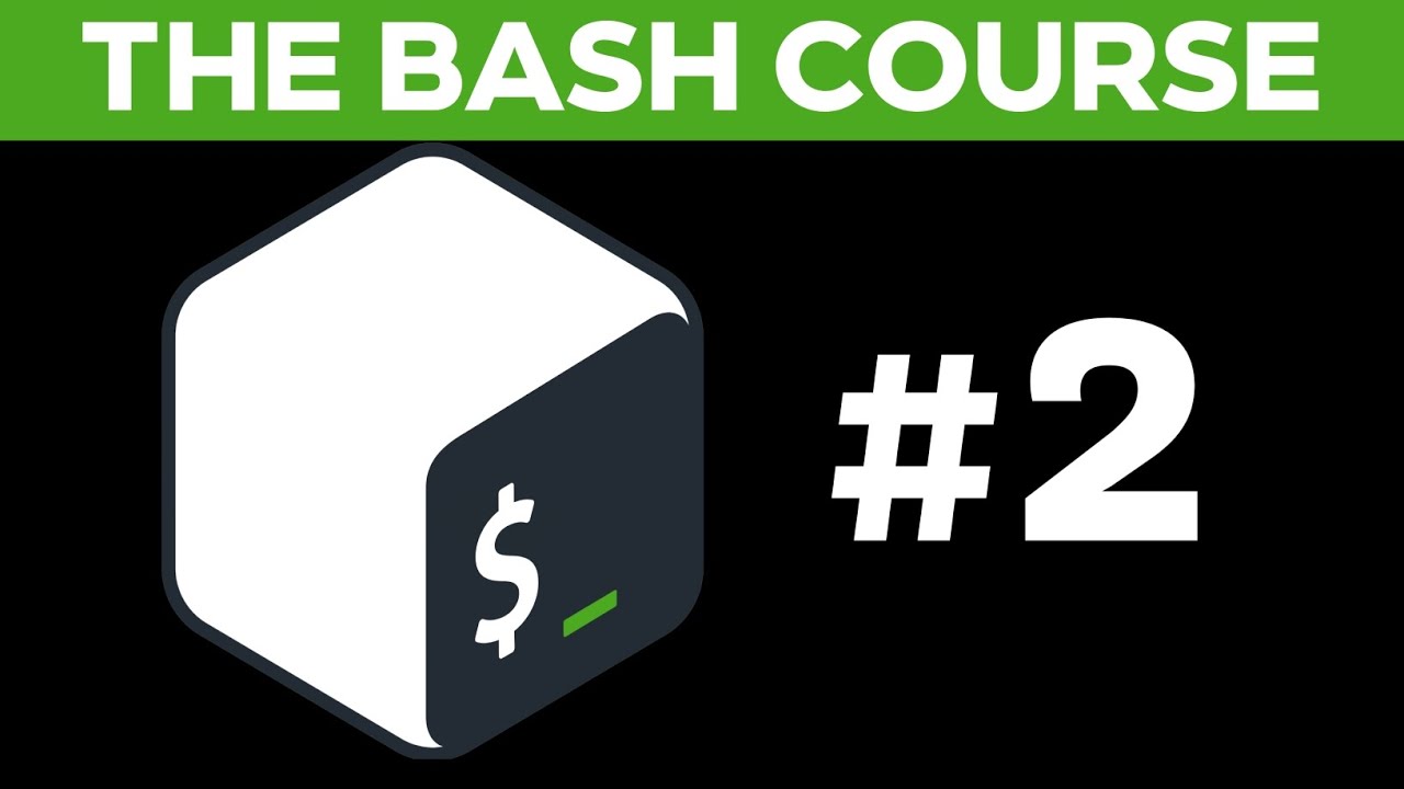The Bash Course: Important Commands in Bash! Lecture #2 - YouTube