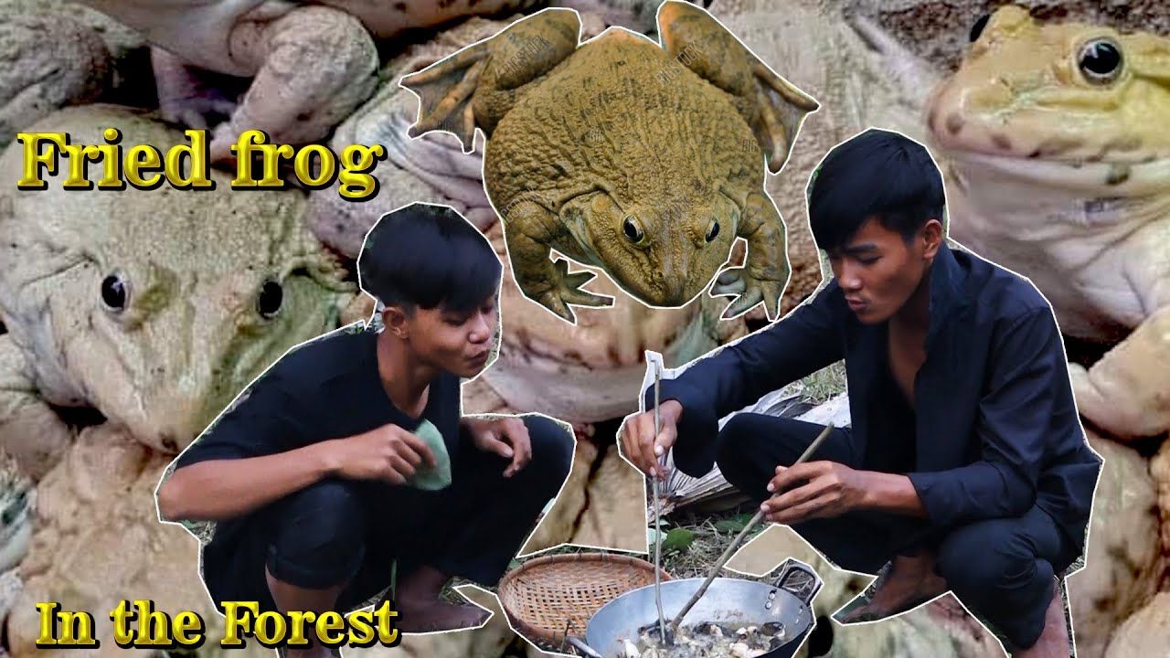 Two boys catch frog and cooking in the forest-Skill Primitive Survival ...