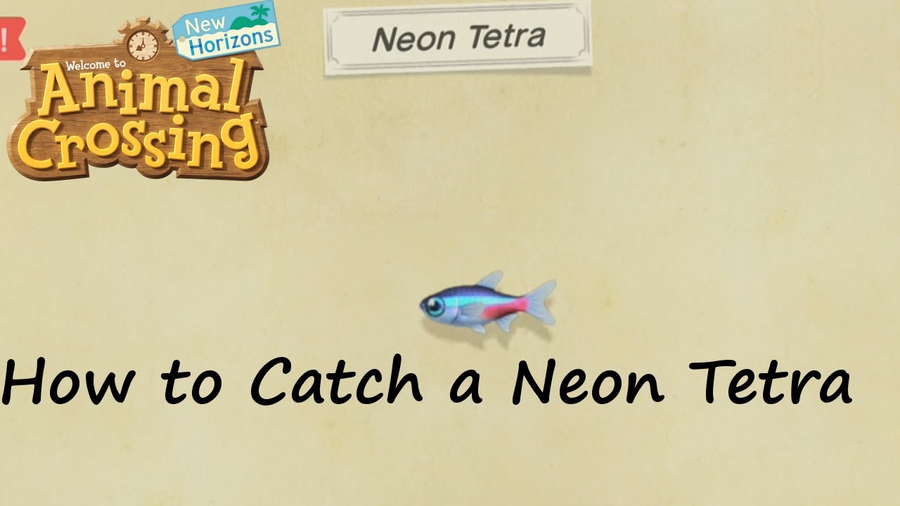 Animal Crossing: New Horizons - How to Catch a Neon Tetra - YouTube