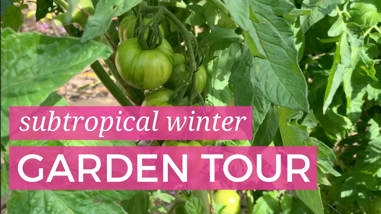 Subtropical Winter Garden Tour - YouTube