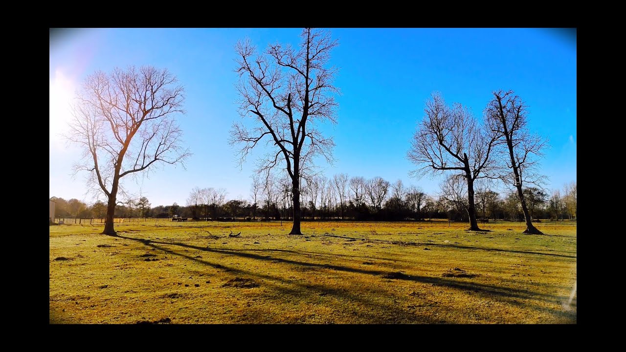 The Crash, Tarkington Prairie, Jan 2024 - YouTube