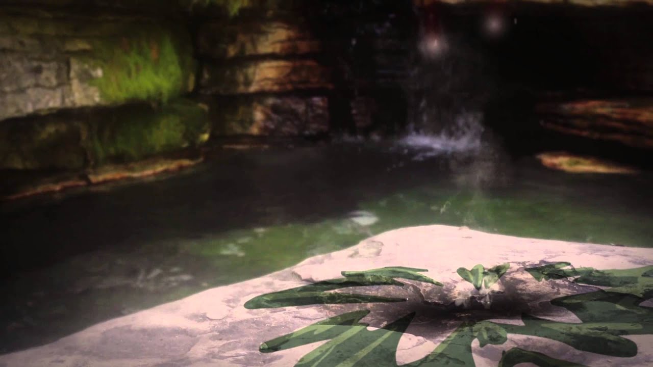 Blarg the Wonder Frog - YouTube