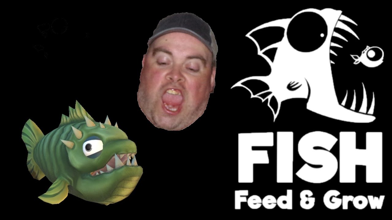 Feeding My Fish - FISH FEED AND GROW - YouTube