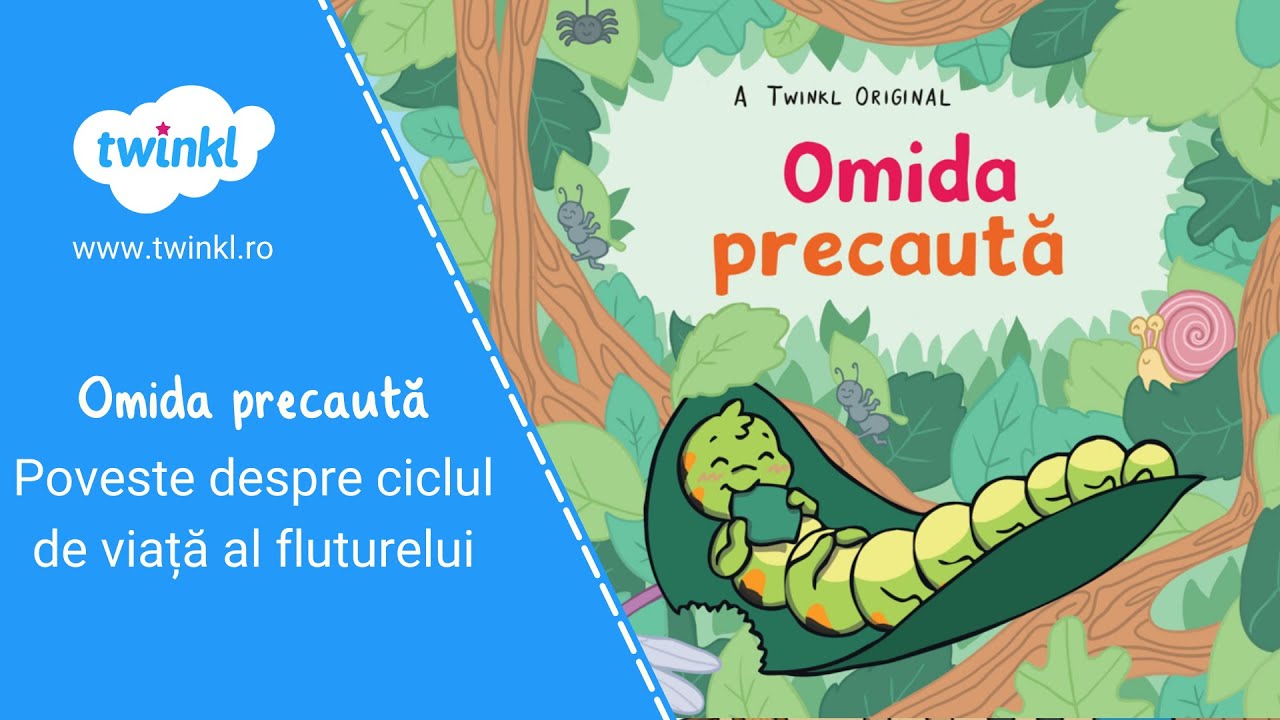 Omida precaută - Poveste Twinkl Original despre ciclul de viață al unui ...