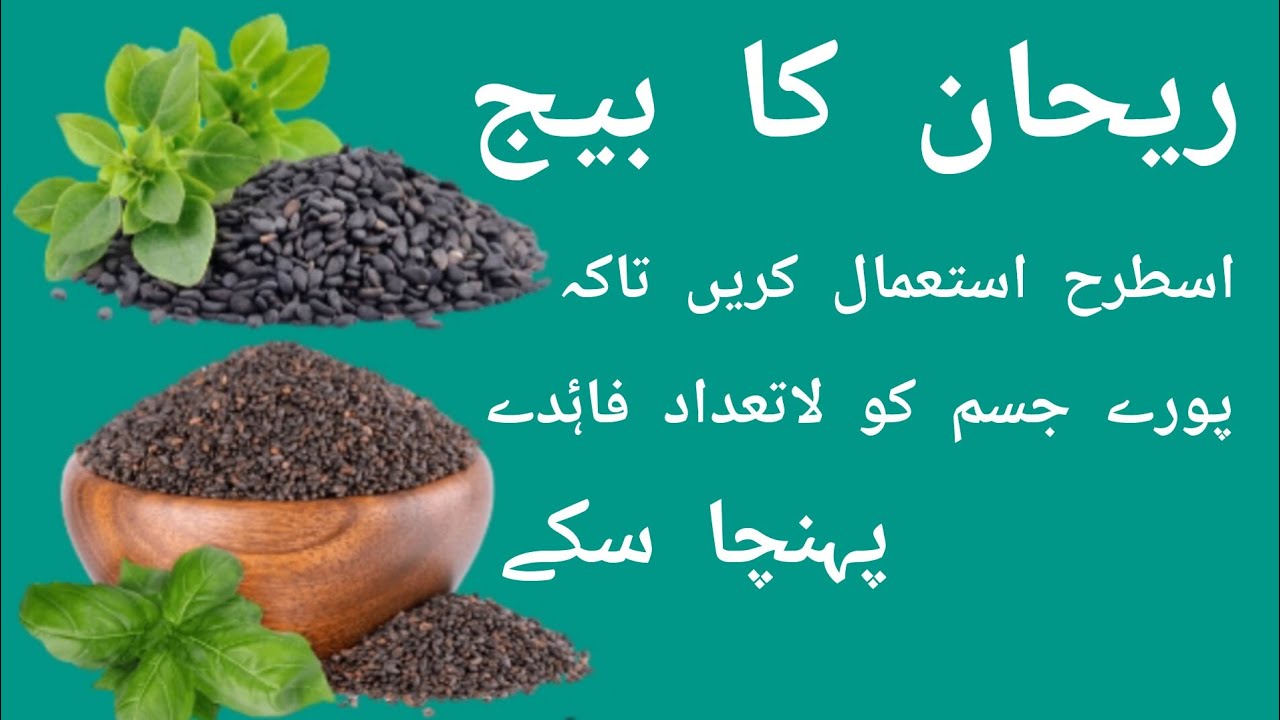 SEEDS BASIL BODY BENEFITS/REHAN BEEG K JISMANI FAIDAY - YouTube