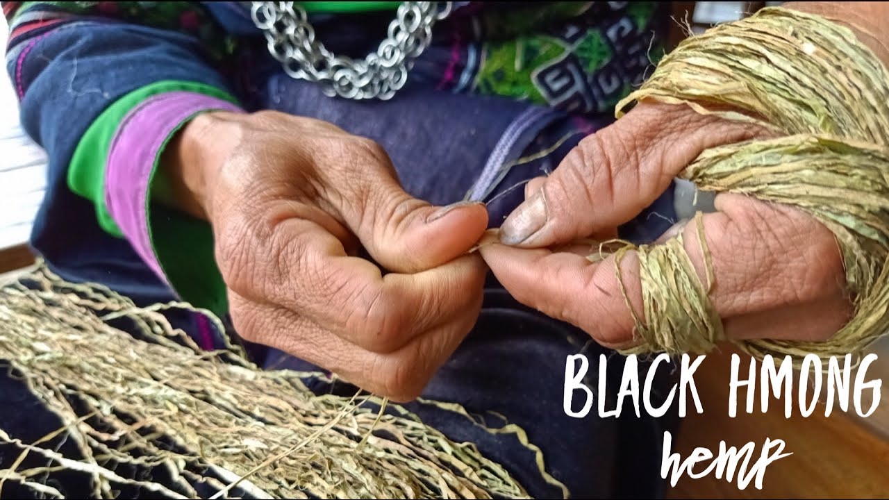 Black Hmong Hemp - YouTube