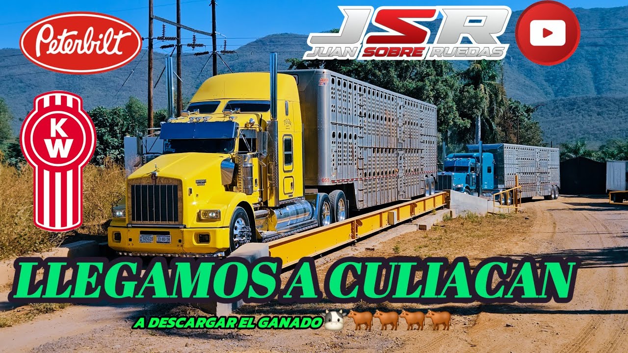 🐂 KENWORTH T800 CENTENARIO GANADERO RUMBO A DESCARGAR #truck - YouTube