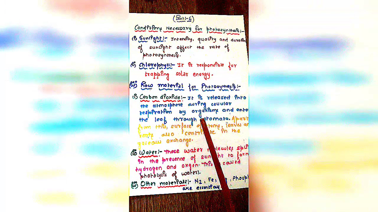 Part 6 Biology Class 10 chapter 1 Best Explanation YouTube part-6-biology-class-10-chapter-1-best-explanation-youtube