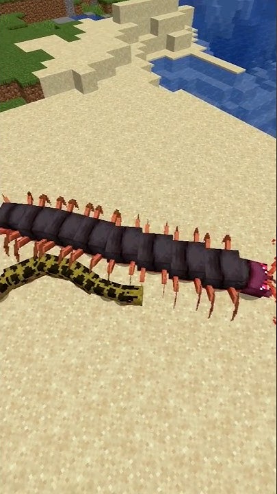 Minecraft Anaconda VS Cave Centipede - YouTube