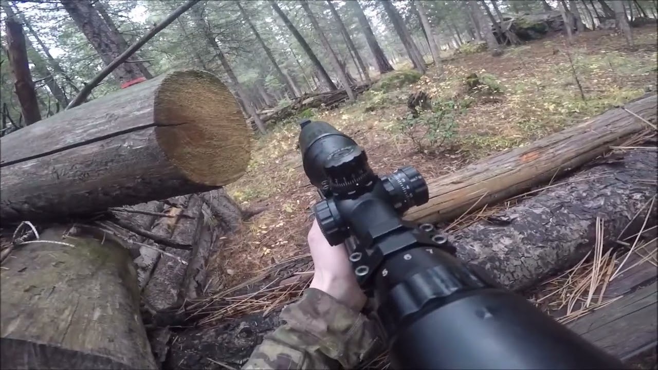 Playing defense with my Novritsch SSG10 - YouTube