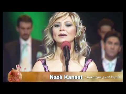 Nazlı Kanaat ~ Kanaryam güzel kuşum