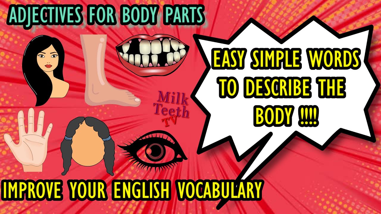 Adjectives for body parts | describing words for parts of the body ...