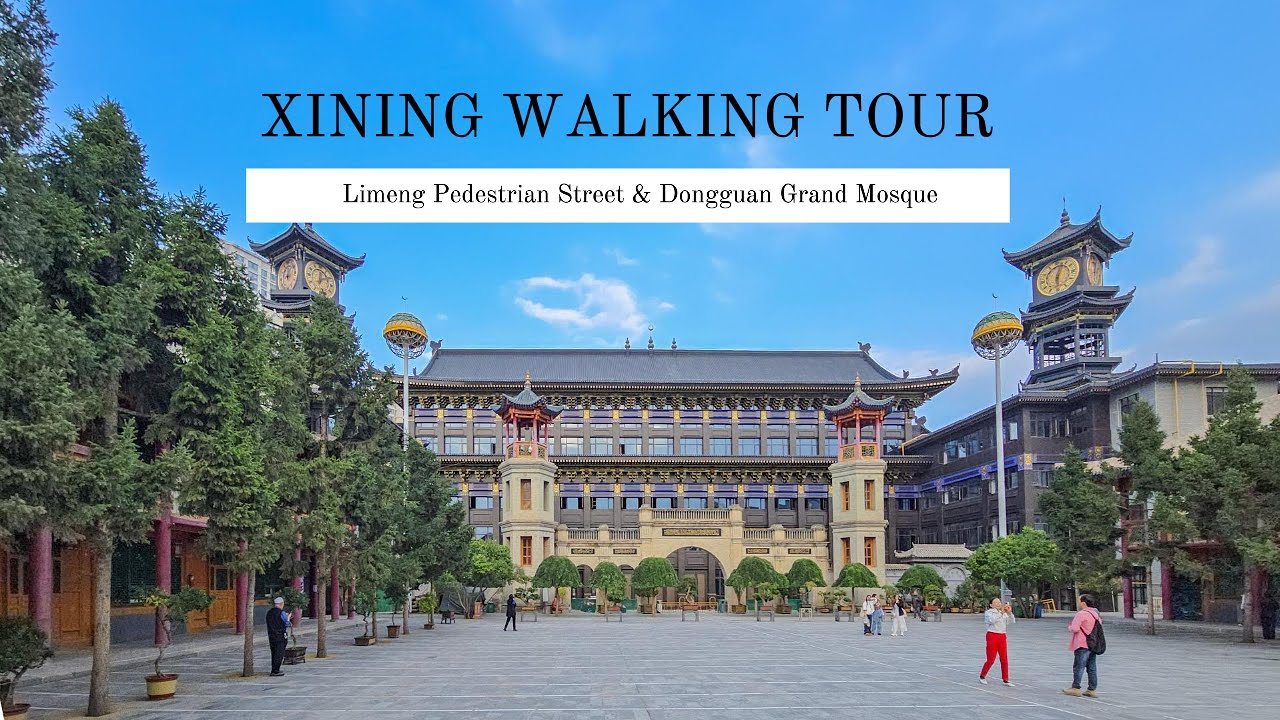 China & Tibet Ep. 4: Exploring Limeng Pedestrian Street & Dongguan ...