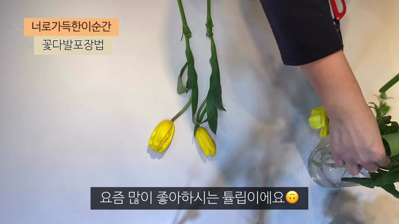 참 쉬운 꽃다발포장방법 간단한꽃다발포장 튤립꽃다발포장 플로리스트수업 핸드타이트 창업방법 꽃포장방법 플라워레슨 Youtube
