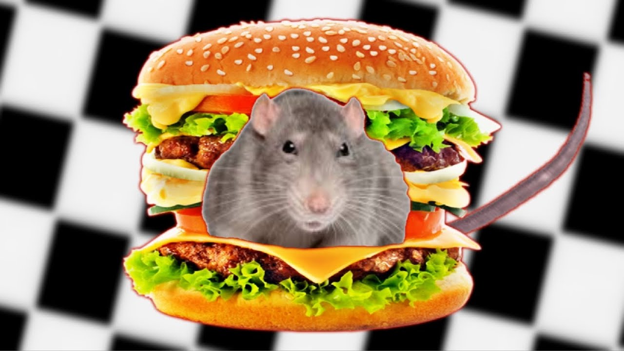 Rat Burger - YouTube