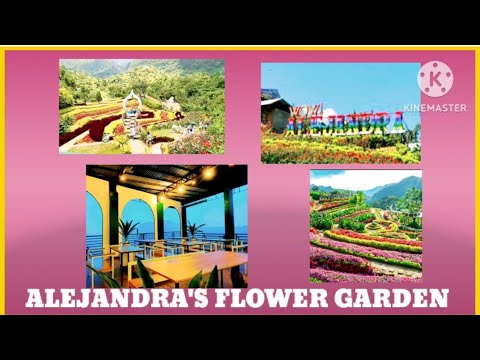 ALEJANDRA'S FLOWER GARDEN 🏡 BALAMBAN CEBU!#FAMILYBONDING#SUNDAY# ...