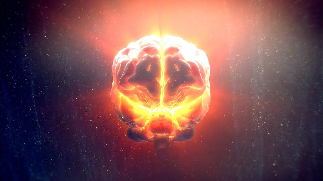 Researchers Find ‘Hidden Consciousness’ in 25% of Comatose Patients ...