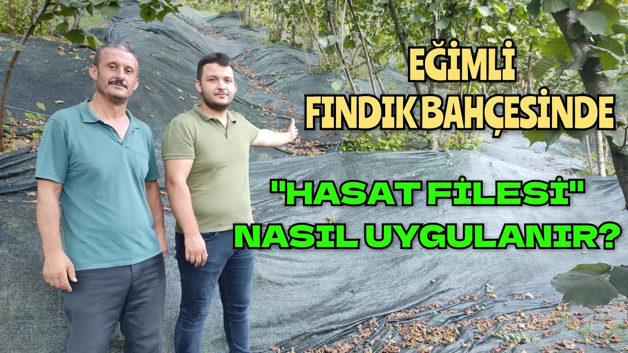 FINDIK TOPLAMA FİLESİ ile Eğimli Arazide Hasat Nasıl Yapılır? - YouTube