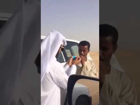 Kayf cirir qaqawda