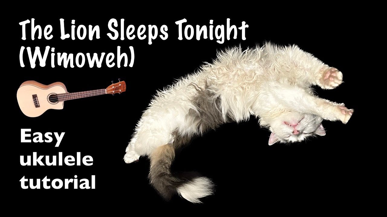 The Lion Sleeps Tonight (Wimoweh) for Ukulele - YouTube