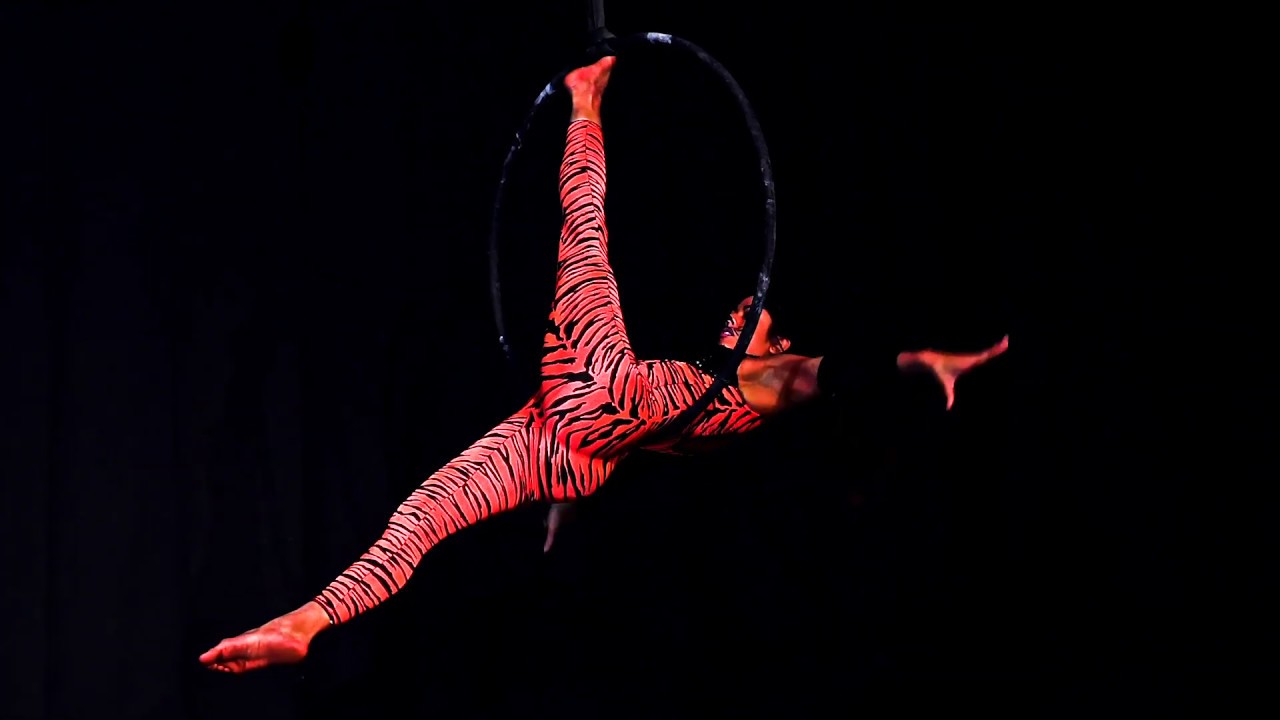 Aerial Silks & Lyra Trailer - YouTube