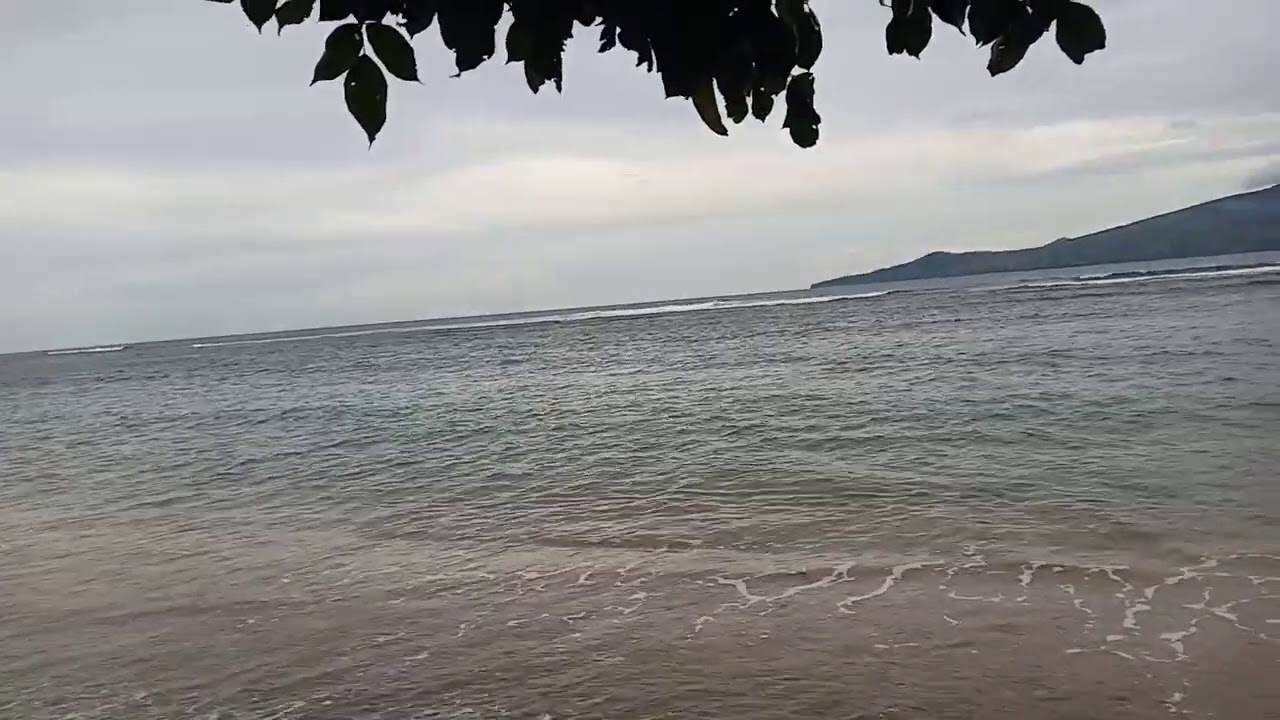 morong bataan anvaya cove pawikan beach...oct.7,2020 - YouTube