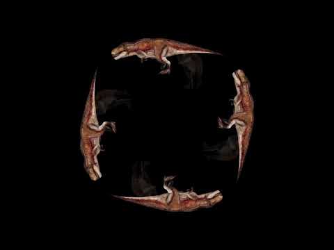 Holograma dinosaurios Berni 2019