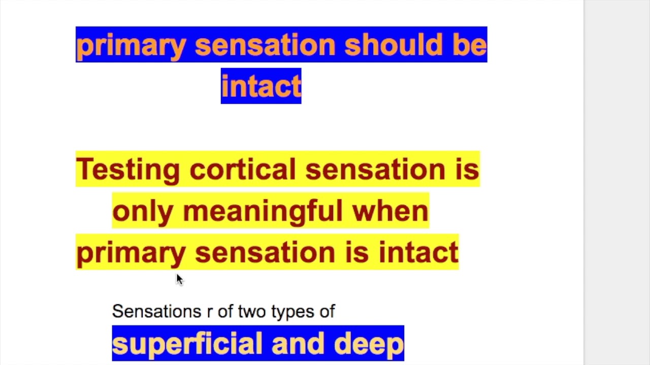 Sensory cortex function test - YouTube