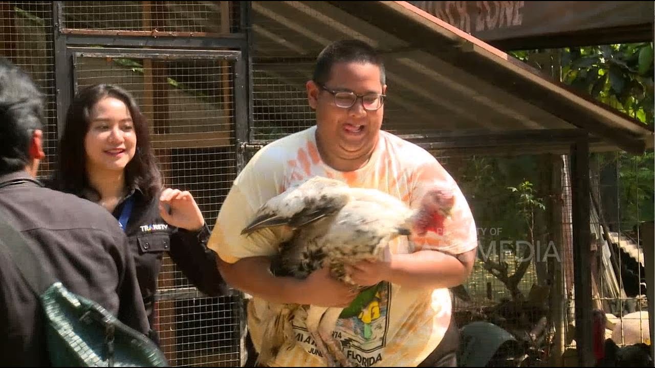 PERUT GILANG DIKIRA MAKANAN SAMA AYAM INI | BROWNIS JALAN JALAN (18/7 ...