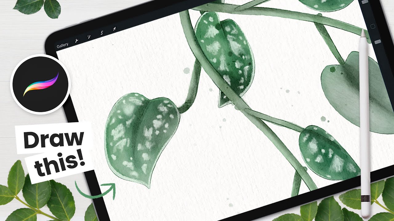 How To Draw: Scindapsus Pictus (Satin Pothos) • Procreate Tutorial ...